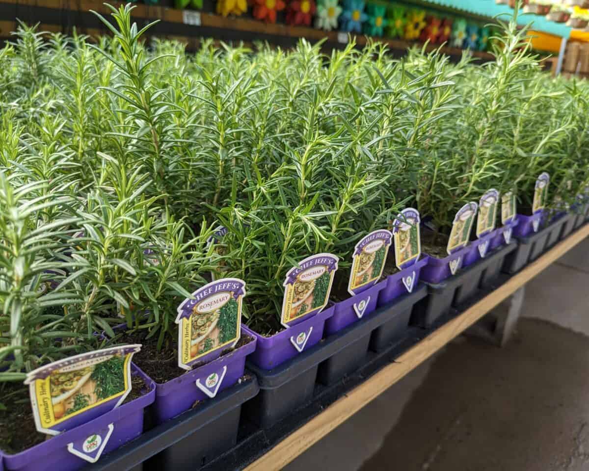 Products - Countryside Greenhouse