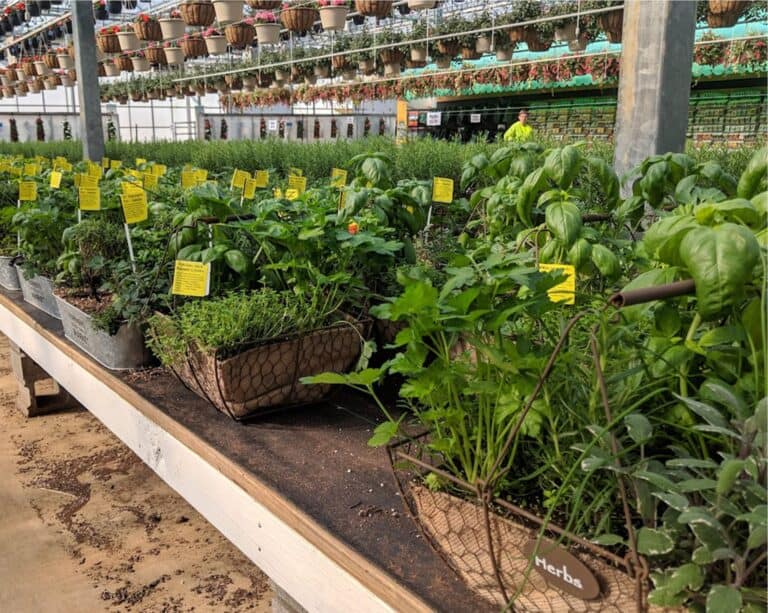 Products - Countryside Greenhouse