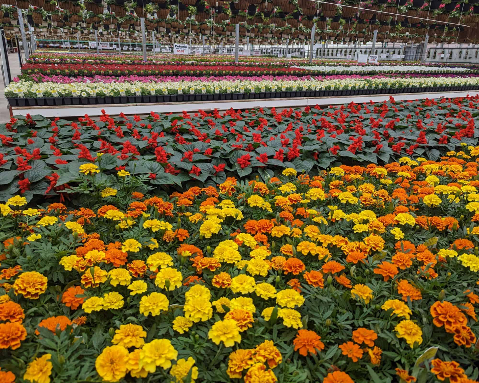 Products - Countryside Greenhouse
