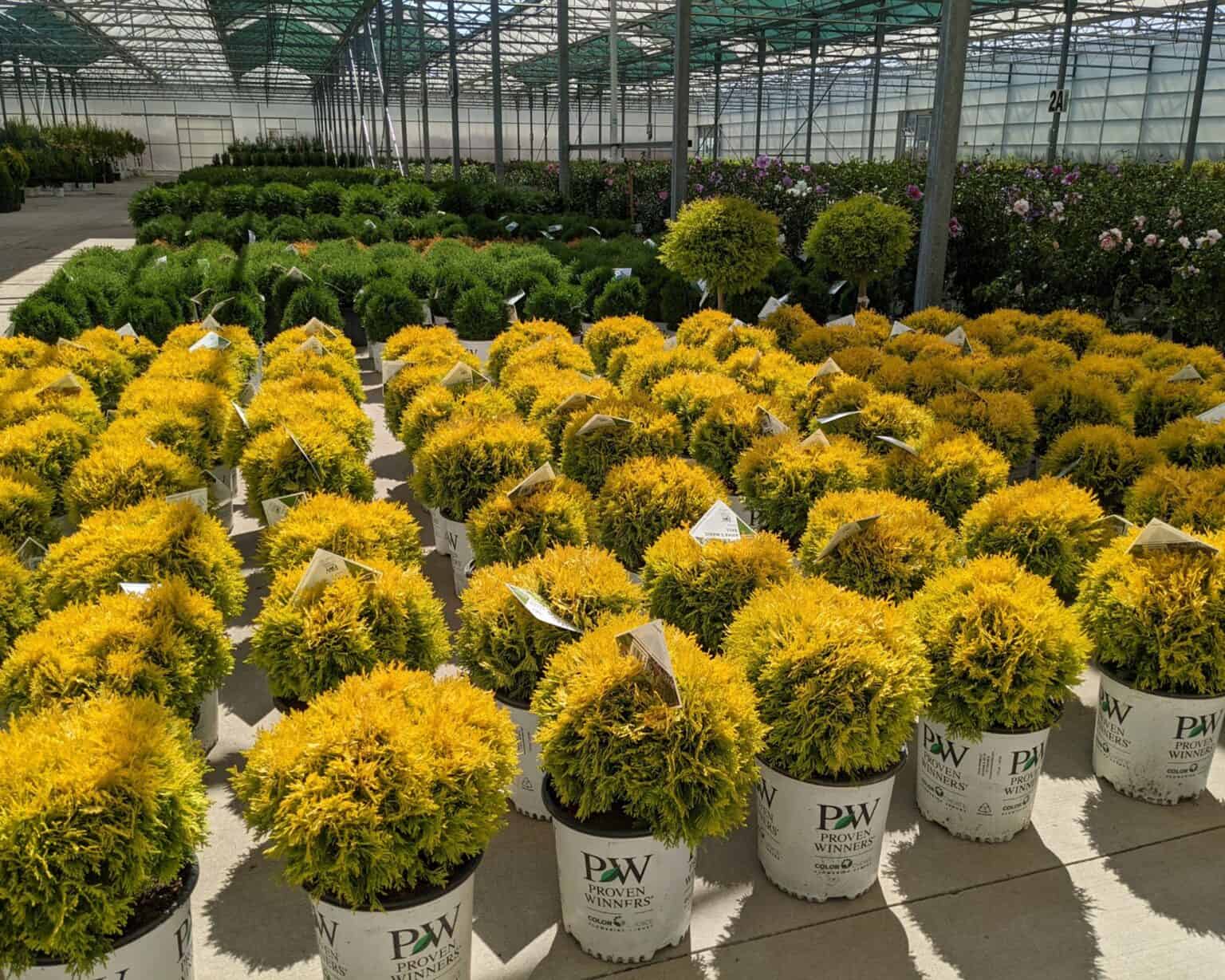 Products - Countryside Greenhouse