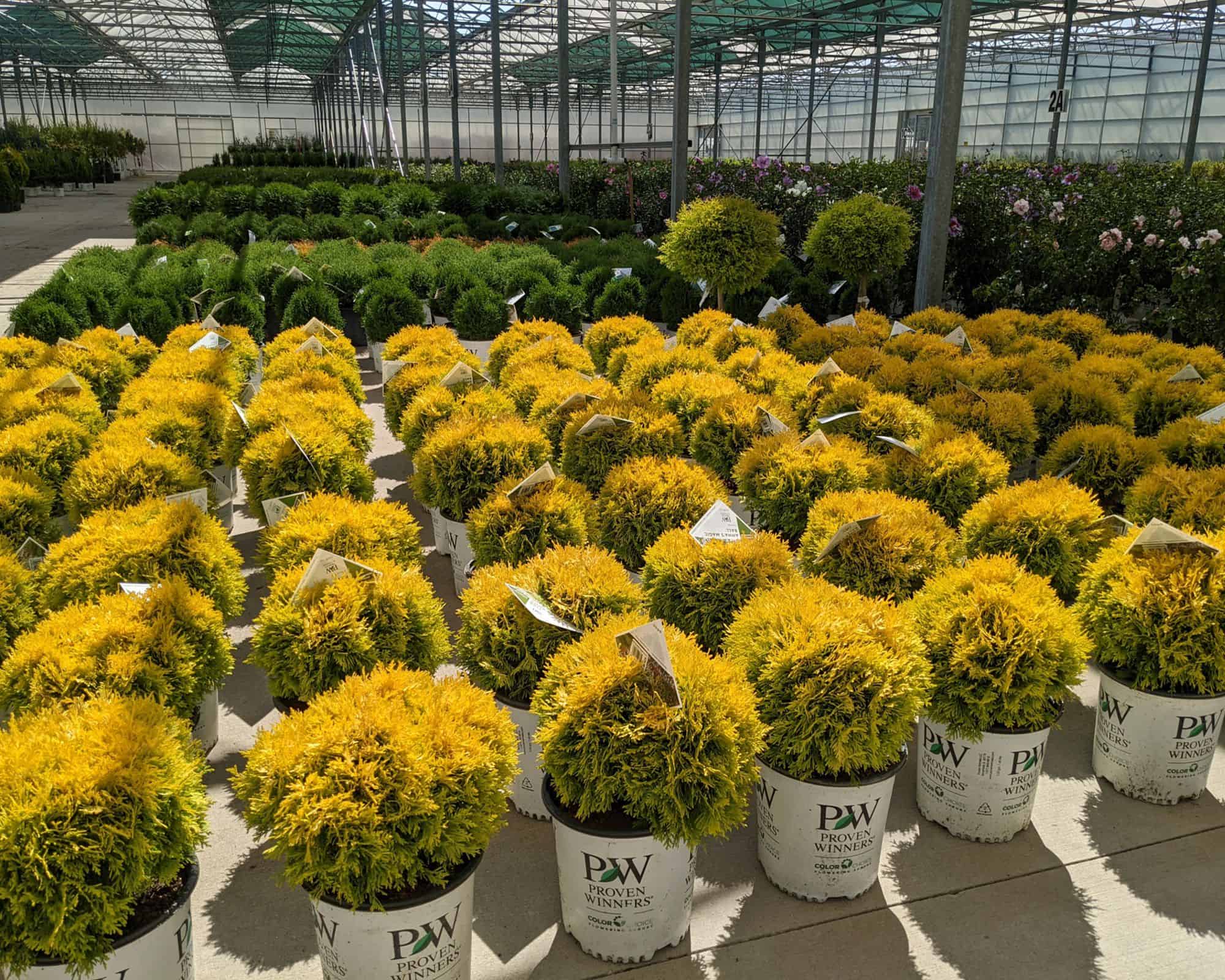 Products - Countryside Greenhouse