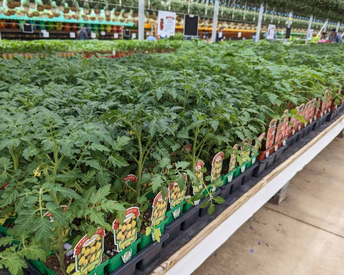 Products - Countryside Greenhouse